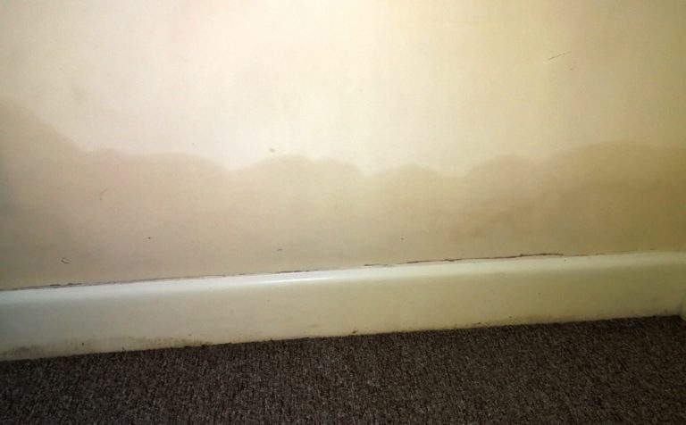Professional Rising Damp Treatment for Homes & Businesses