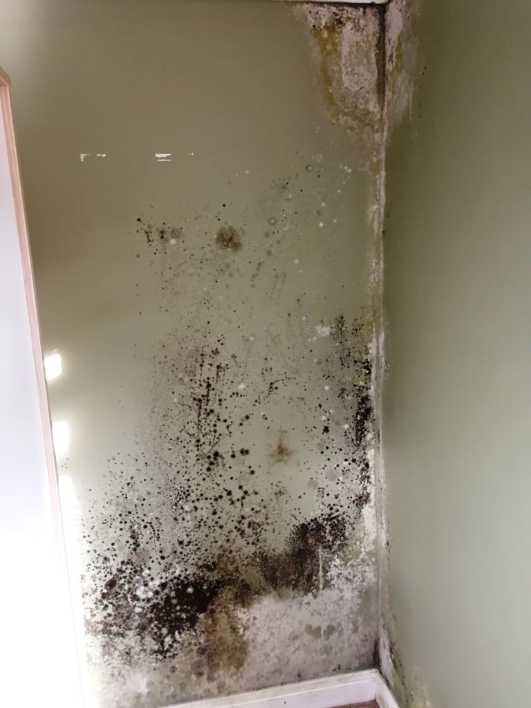 Condensation Damp & Mould Treatment in Bournemouth | Prokil