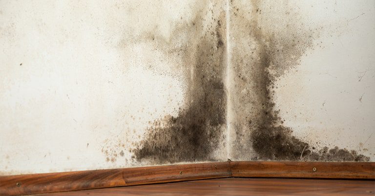Does Heating Prevent Mould? | Prokil
