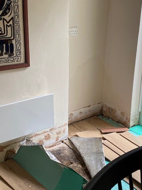 Chimney Damp Proofing & Wood Rot Treatment in Salisbury